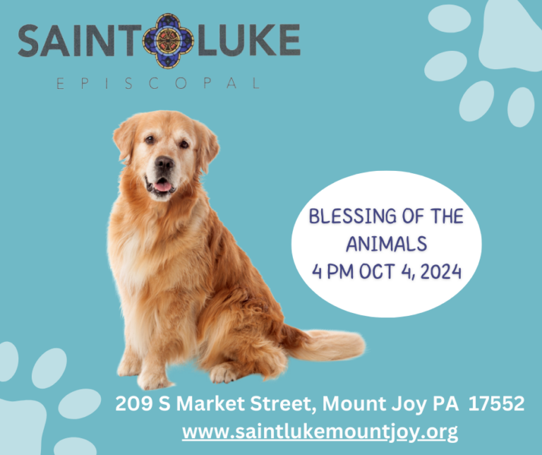 Blessing of the Animals: Saint Francis of Assisi – Saint Luke Episcopal ...